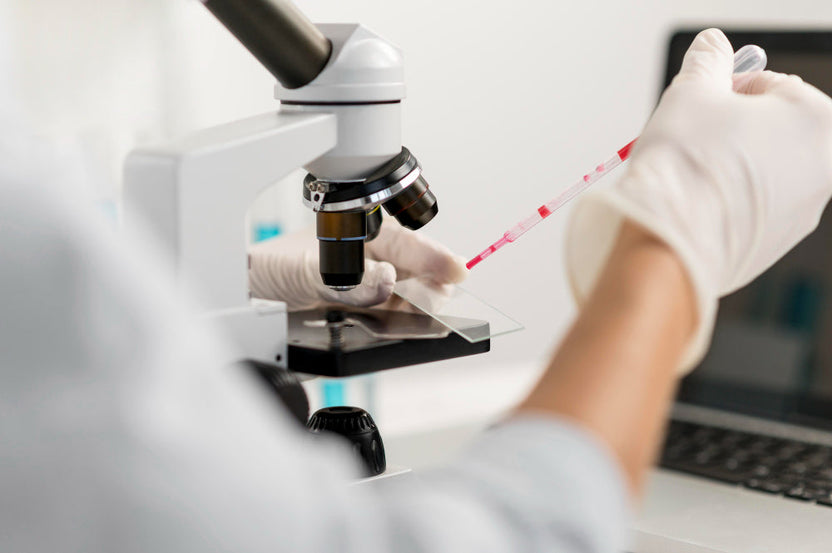 10 Técnicas de Filtración en Laboratorio: Guía Completa y Aplicaciones ...