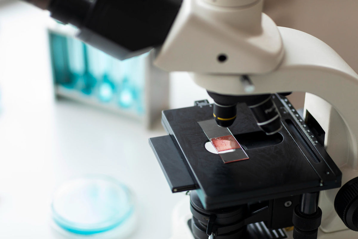 113. Preparación de Muestras para Microscopía: Guía Esencial – Mercalab